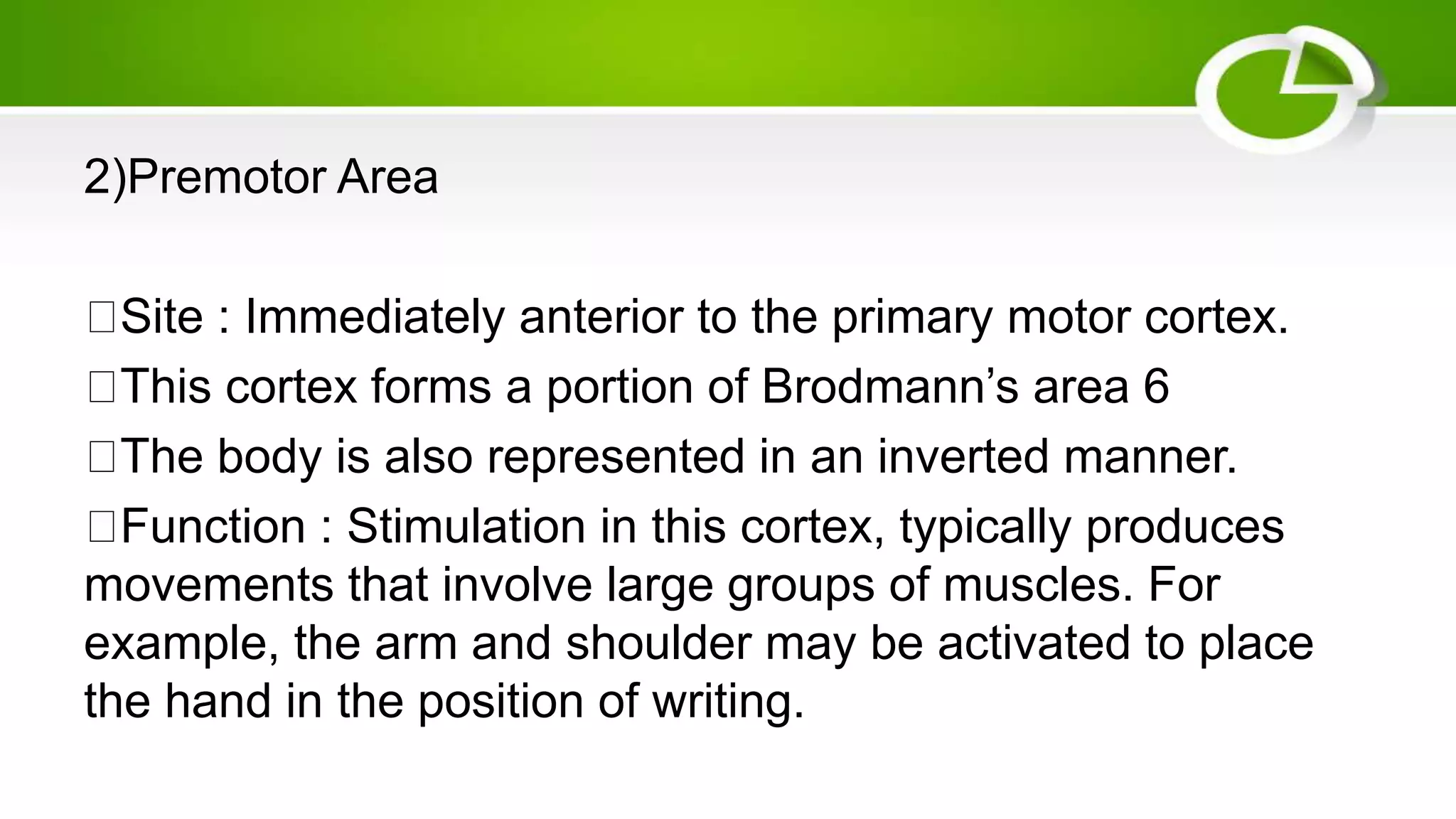 Motor cortex areas and physiology of stroke | PPTX