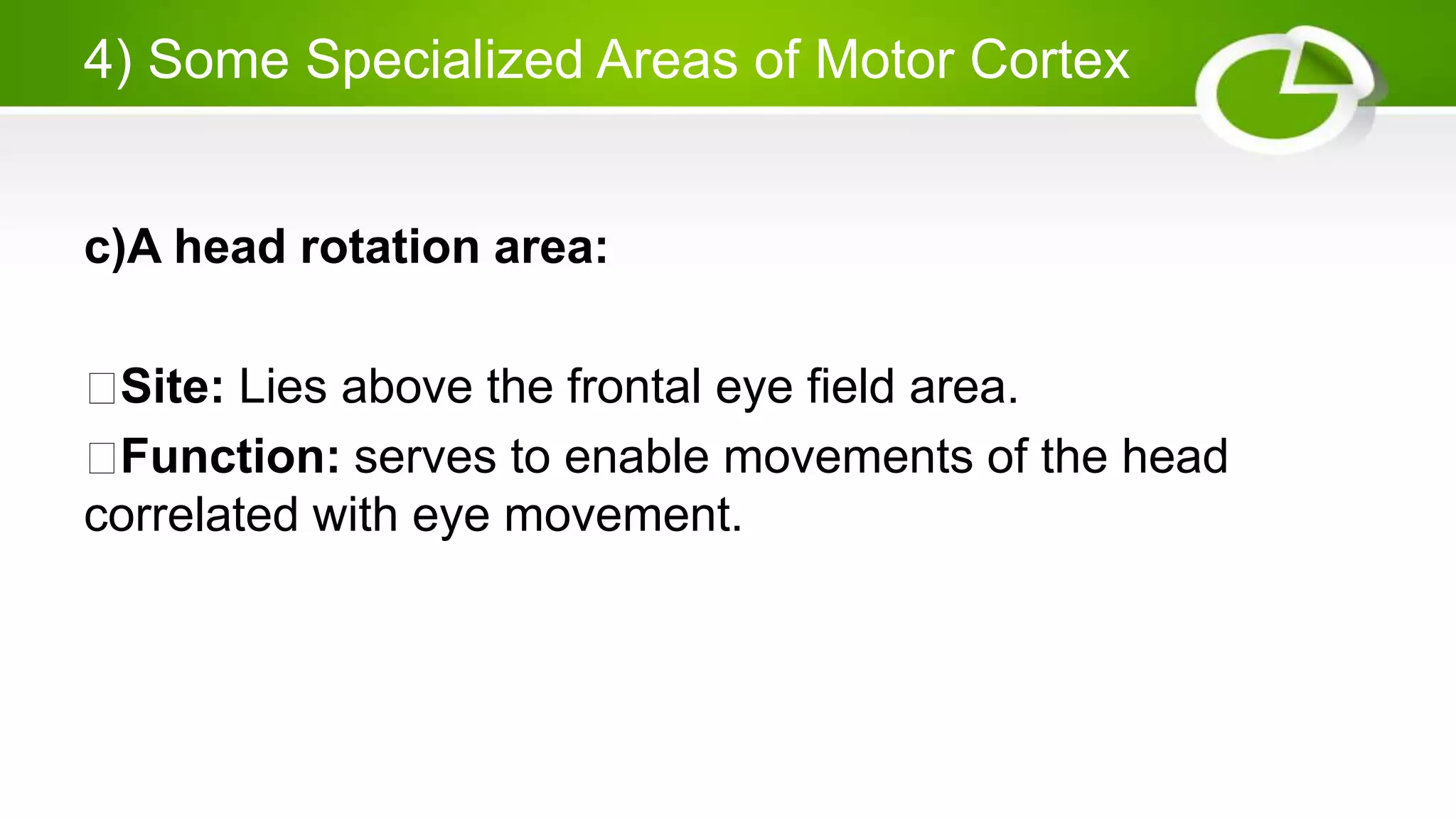 Motor cortex areas and physiology of stroke | PPTX