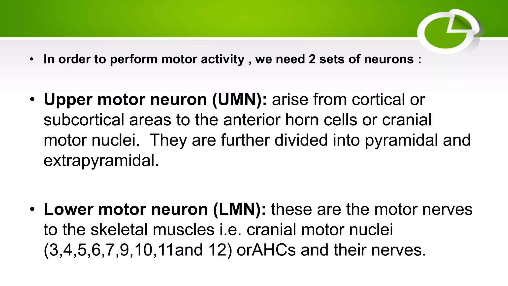 Motor cortex areas and physiology of stroke | PPTX
