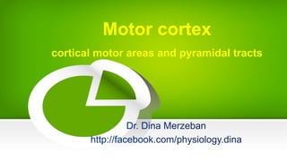 Motor cortex areas and physiology of stroke | PPTX