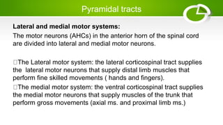 Motor cortex areas and physiology of stroke | PPTX