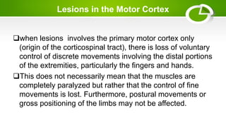 Motor cortex areas and physiology of stroke | PPTX