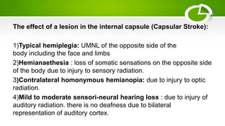 Motor cortex areas and physiology of stroke | PPTX