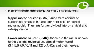 Motor cortex areas and physiology of stroke | PPTX