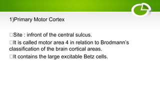 Motor cortex areas and physiology of stroke | PPTX