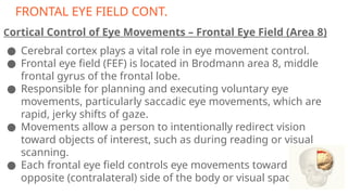 A Presentation on the Motor Cortex & Eye Movement.pptx