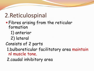Motor division of nervous system | PPTX