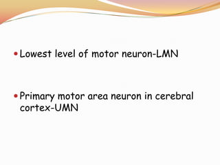 Motor division of nervous system | PPTX