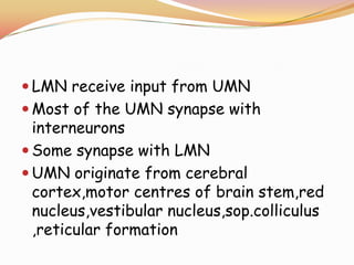Motor division of nervous system | PPTX