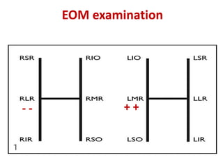 Motor evaluation of squint zoh 2021 part 2 | PDF