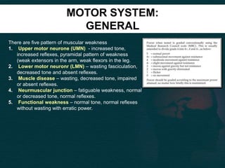 motor Examination-1.ppt