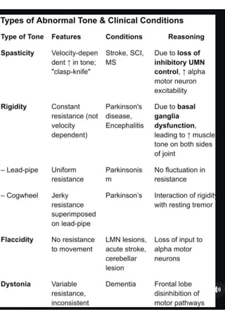 Motor Examination of humans (Tone,MAS scale , types ) | PDF