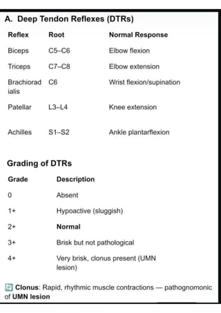 Motor Examination of humans (Tone,MAS scale , types ) | PDF