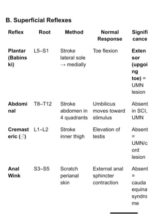 Motor Examination of humans (Tone,MAS scale , types ) | PDF