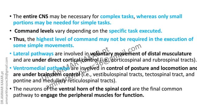 Motor examination (neurological examination) | PPT