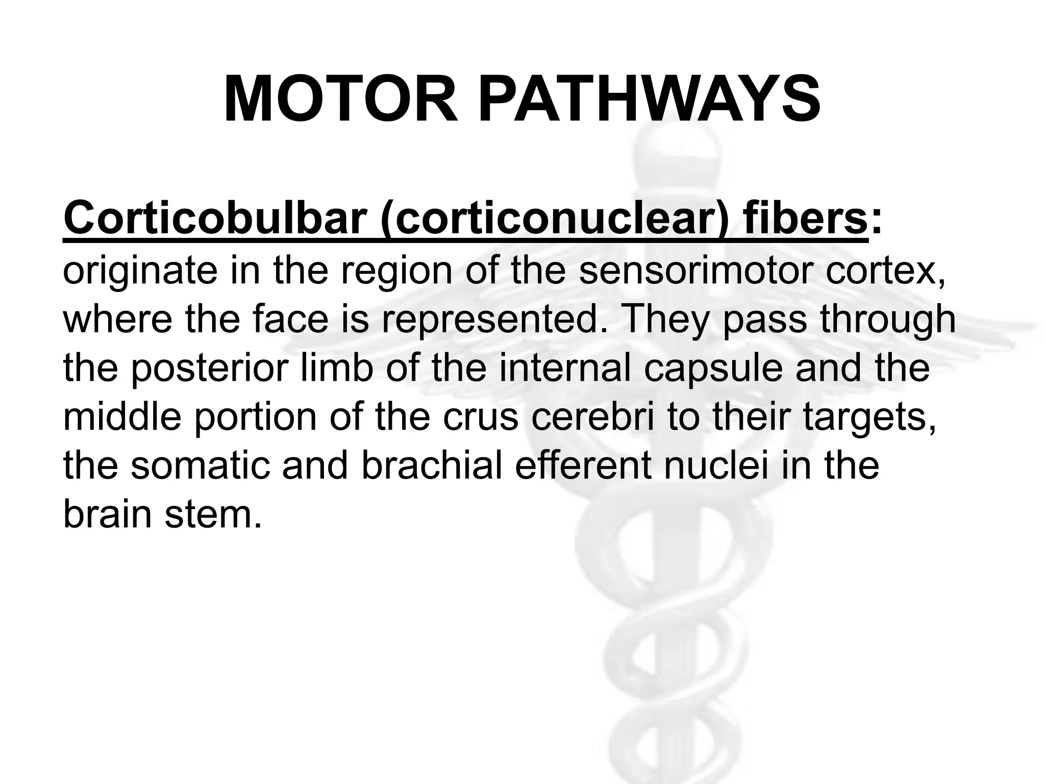 Motor System Examination | PPTX