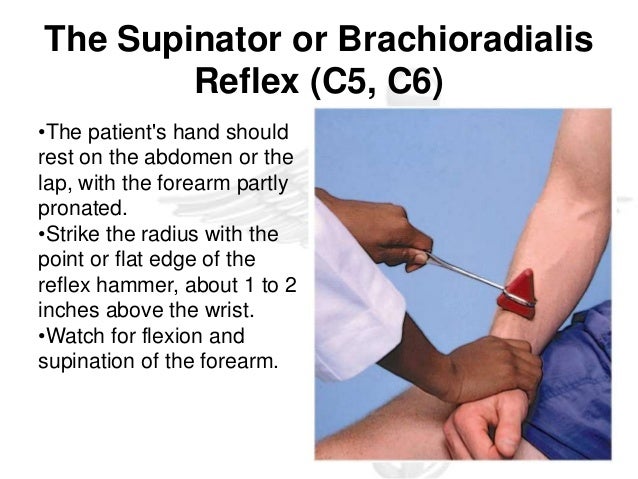 Motor System Examination
