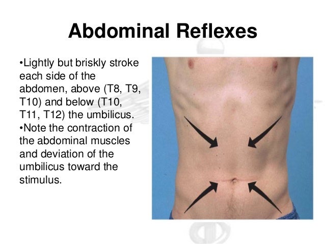 Motor System Examination