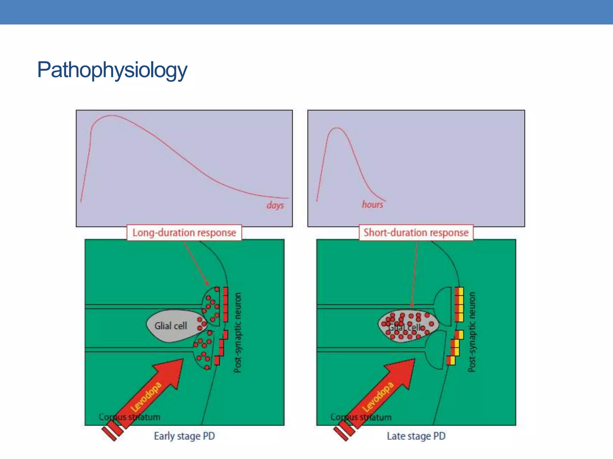 MOTOR FLUCTUATIONS IN ADVANCED PARKINSON’S DISEASE.pptx