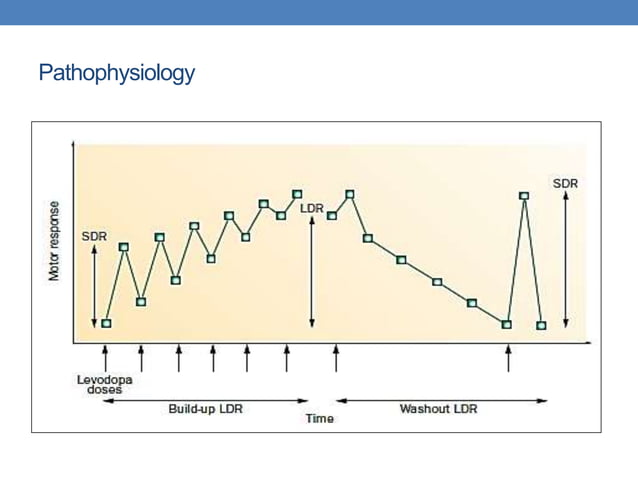 MOTOR FLUCTUATIONS IN ADVANCED PARKINSON’S DISEASE.pptx