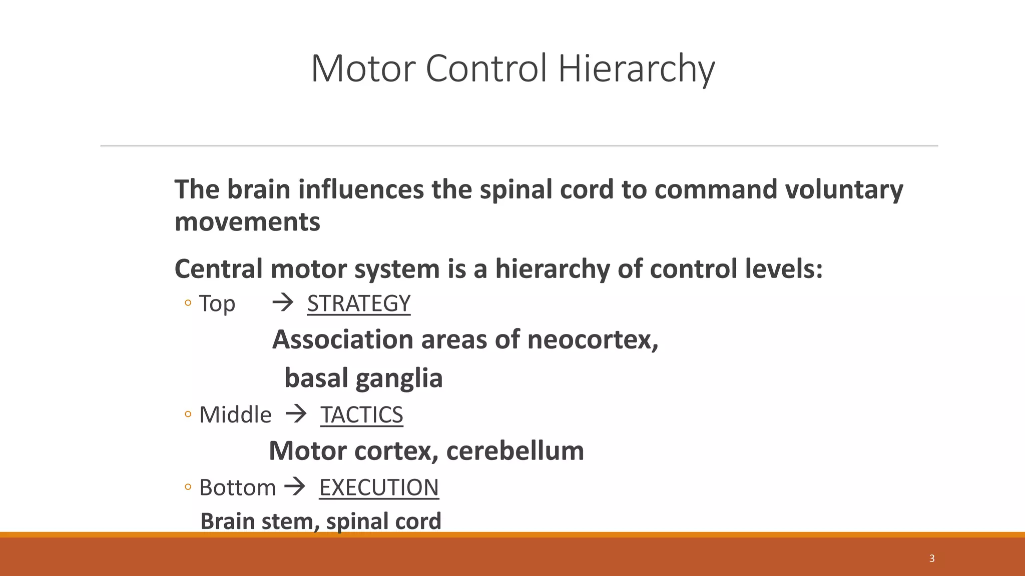 Motor function of brain and brain stem ms 2017 dentist | PPT