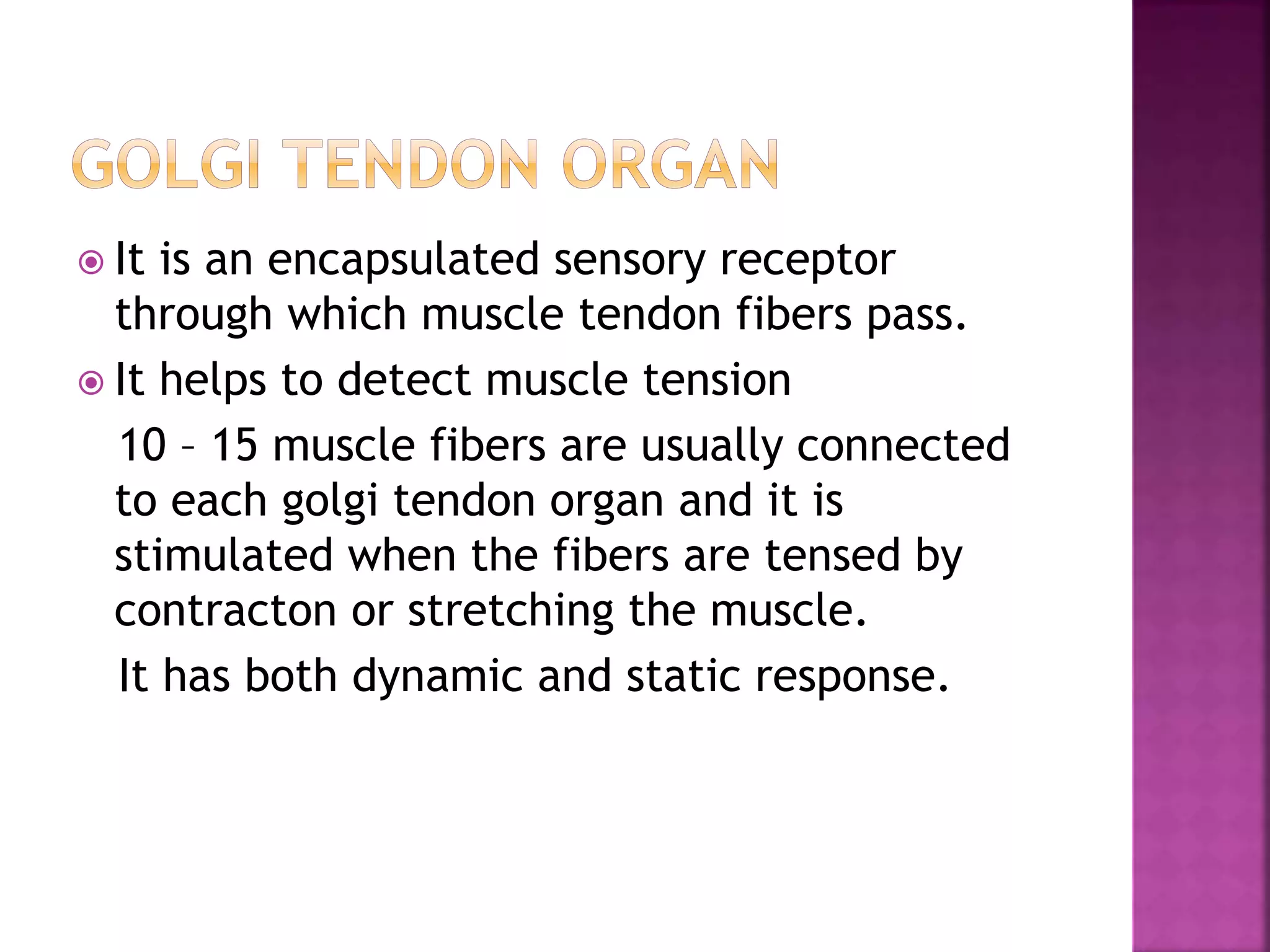 MOTOR FUNCTIONS OF SPINAL CORD.pptx | Death, Injury, or Military ...