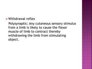 MOTOR FUNCTIONS OF SPINAL CORD.pptx