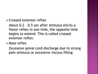 MOTOR FUNCTIONS OF SPINAL CORD.pptx | Death, Injury, or Military ...