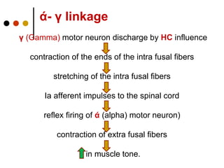 Motor intro kjg | PDF