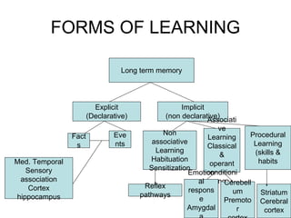 MOTOR LEARNING.pdf