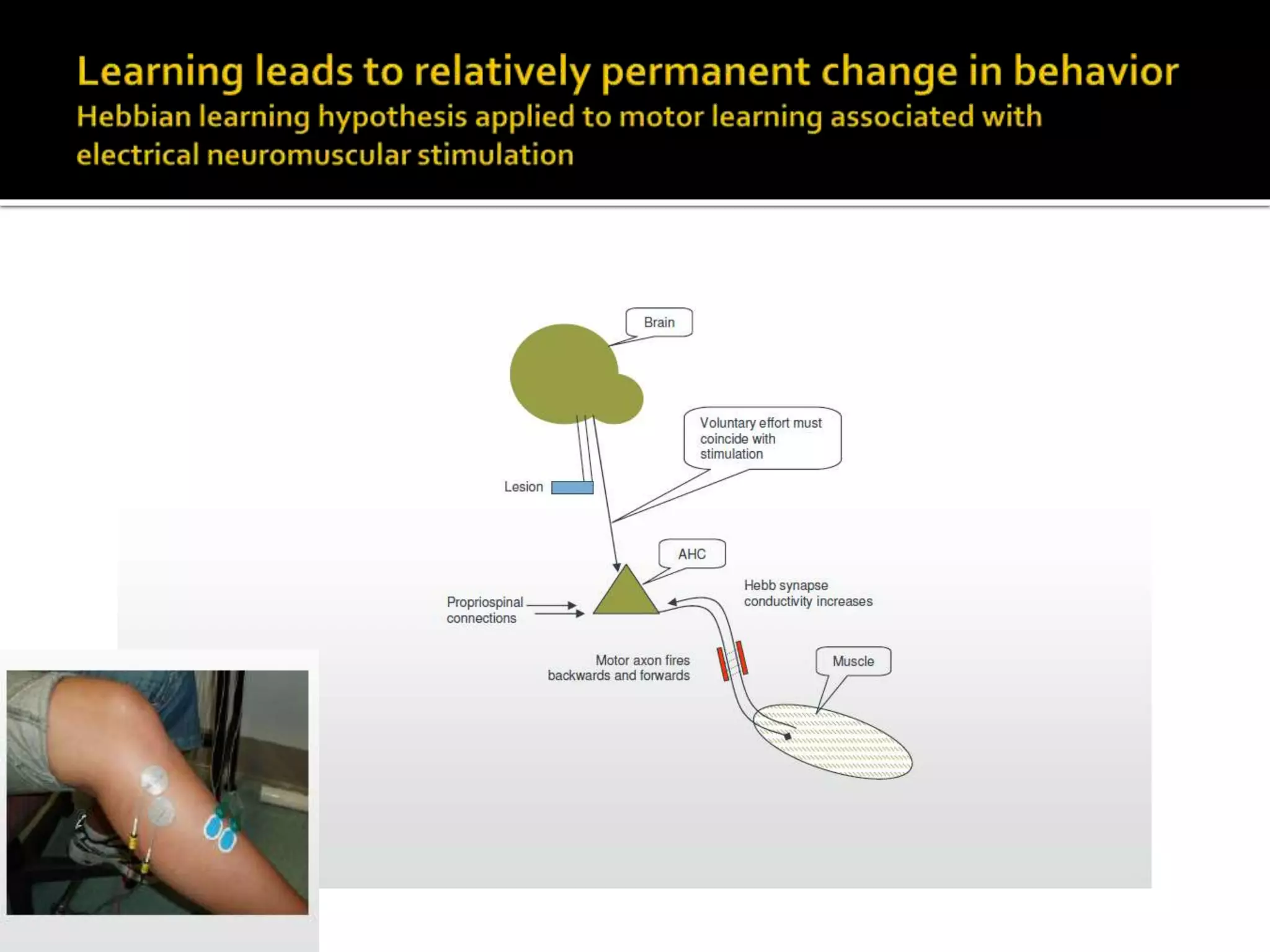 Motor learning | PPT