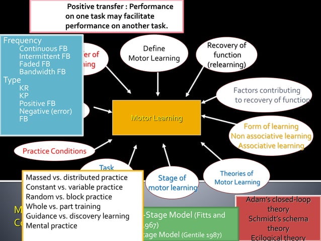 Motor learning | PPT