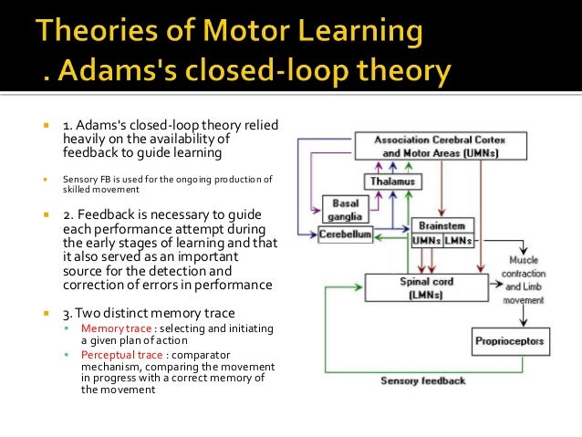 Motor learning
