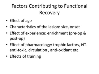Motor learning and recovery of function | PPT | Science