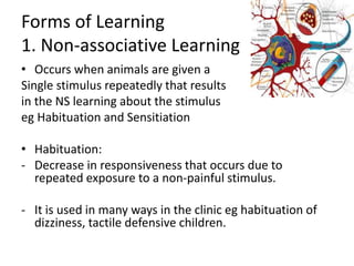 Motor learning and recovery of function | PPT | Science