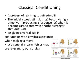 Motor learning and recovery of function | PPT | Science