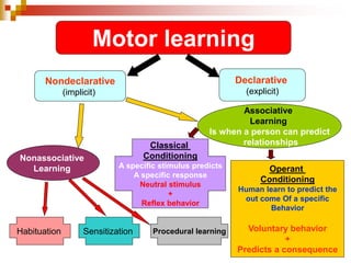 Motor learning & recovery of function | PPTX