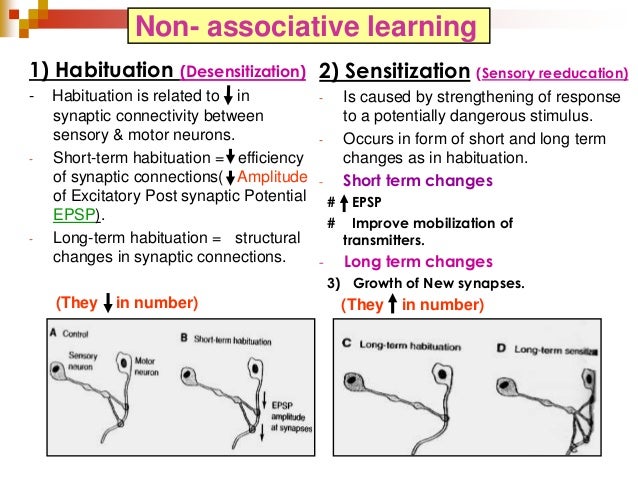 Motor learning & recovery of function