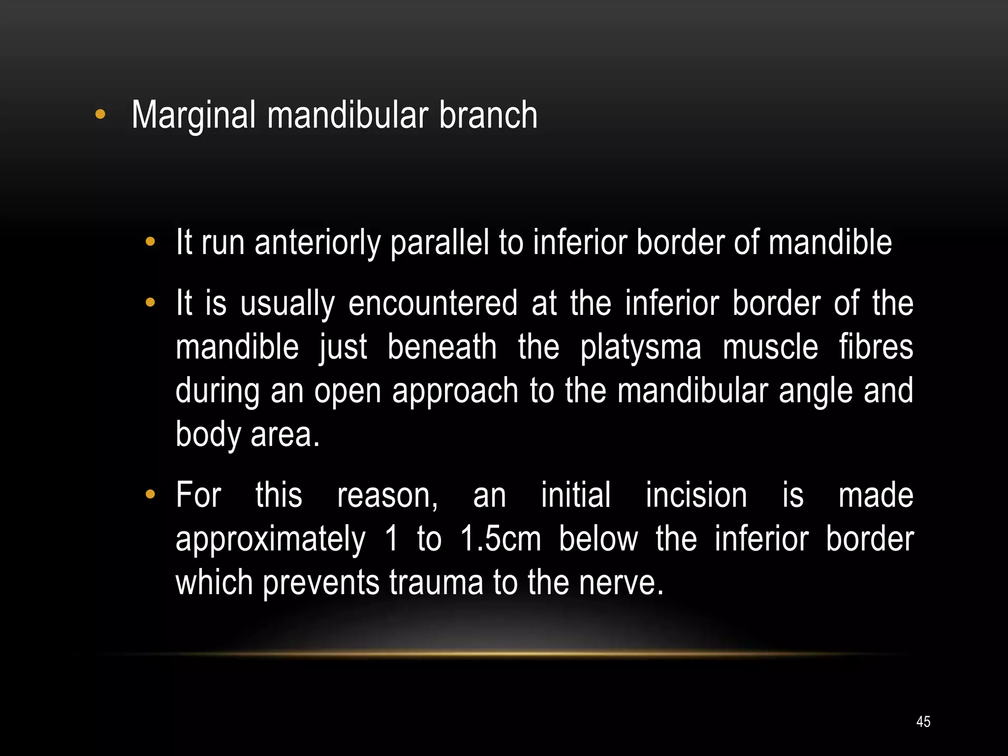 Motor nerve supply of face. | PPTX