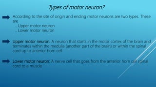 Motor neuron disease | PPTX