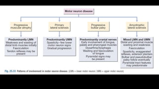 MOTOR NEURON DISEASE.pptx