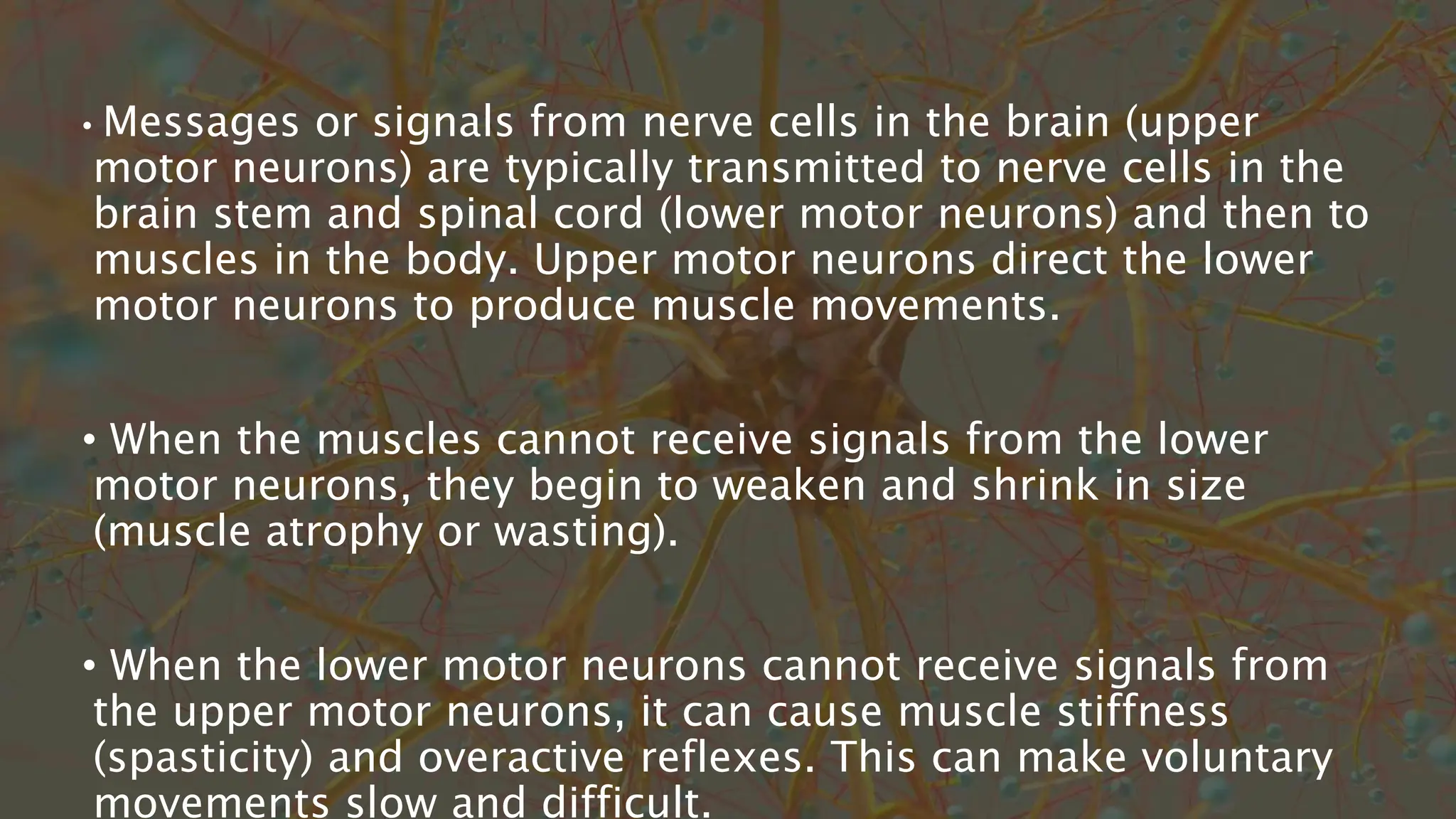 MOTOR NEURON DISEASE - Presentation Neuro | PPTX