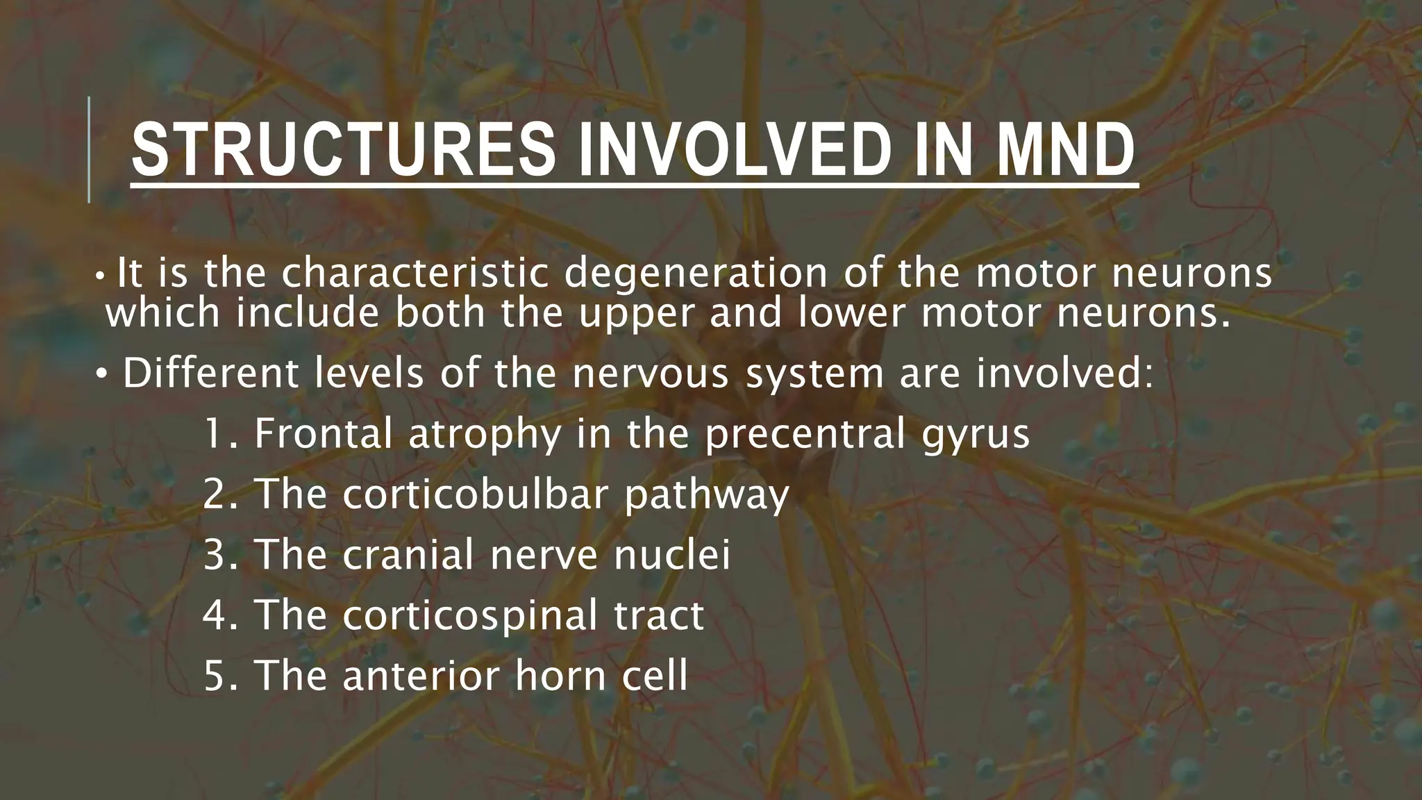 MOTOR NEURON DISEASE - Presentation Neuro | PPT