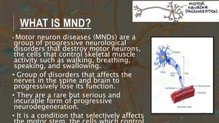 MOTOR NEURON DISEASE - Presentation Neuro | PPTX