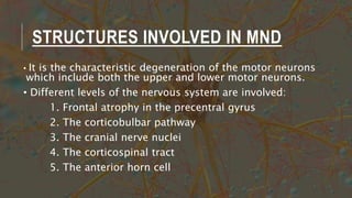 MOTOR NEURON DISEASE - Presentation Neuro | PPT