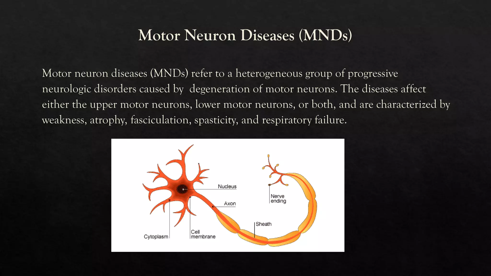 Motor neuron disease - understanding the brain | PPT | Free Download