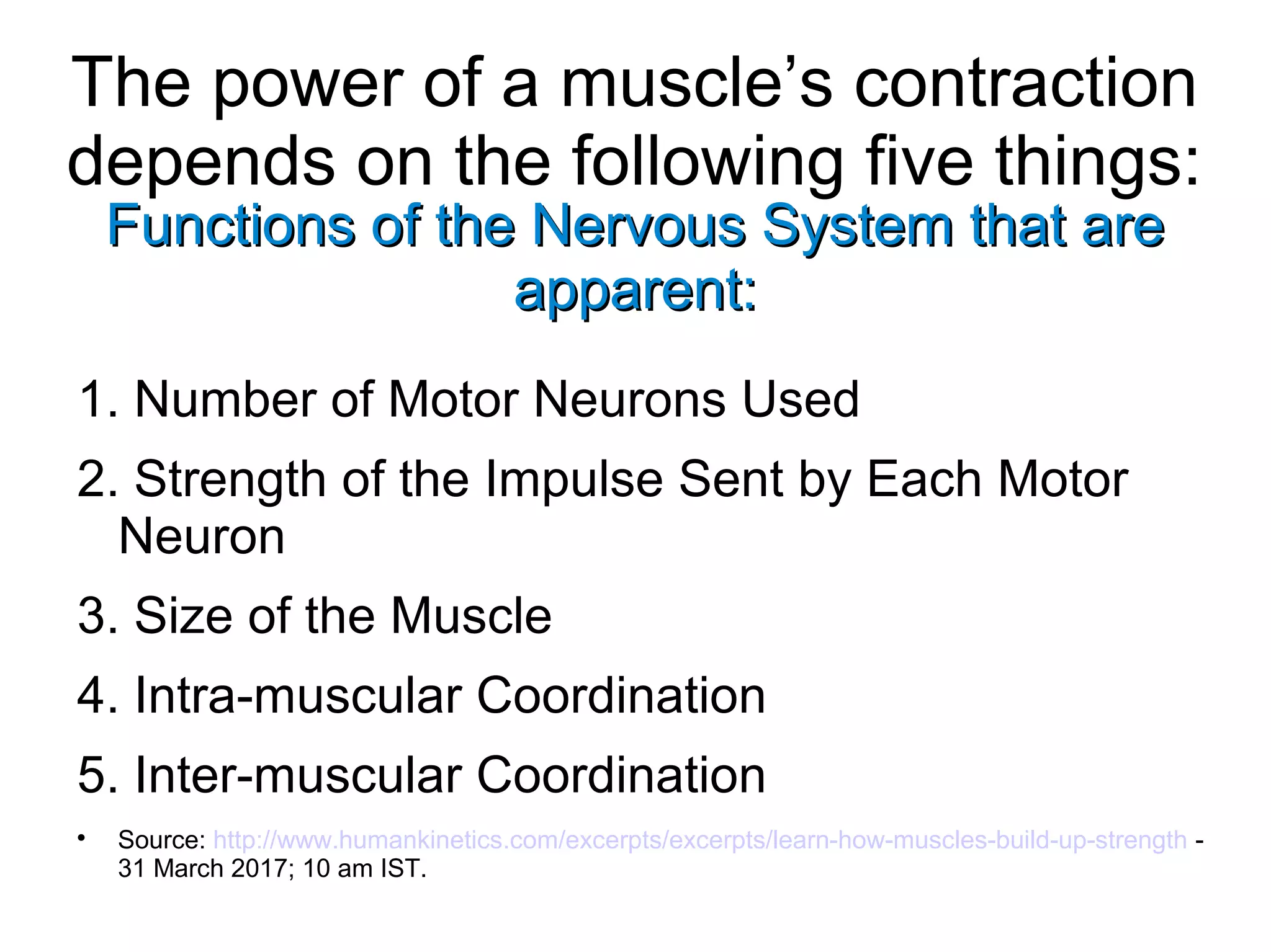 Motor neurons and muscles | PPT