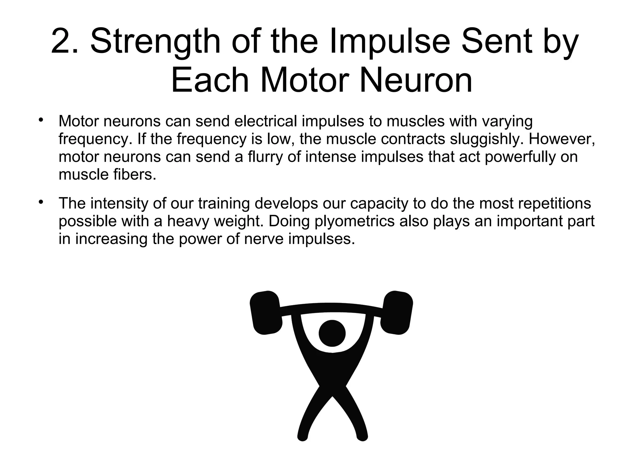 Motor neurons and muscles | PPT