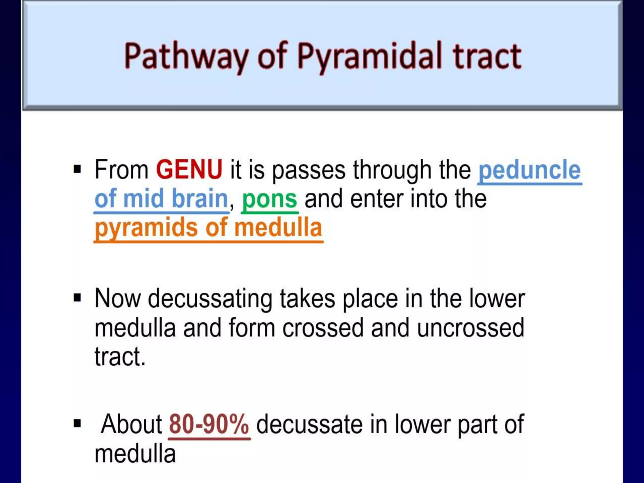 Pyramida and extrapyramidal tracts | PPTX