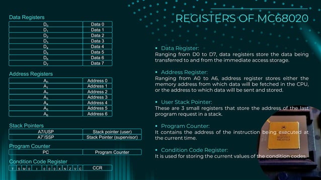 Motorola 68020.pdf | Operating Systems | Computer Software and Applications